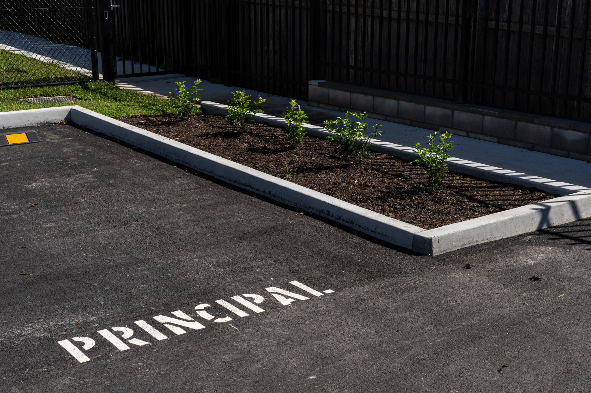 Synergy Resource Management | Wauchope Public School Carpark